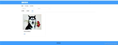 基于springbootvue的考试题库刷题系统vue选择题库软件 Csdn博客