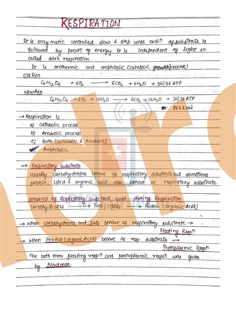 Solution Respiration In Plants Biology Handwritten Notes Studypool