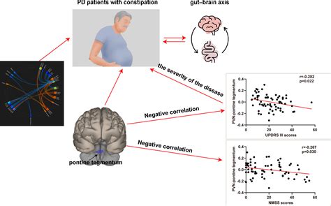 Disrupted Paraventricular Hypothalamic Nucleus Functional Connectivity In Parkinsons Disease