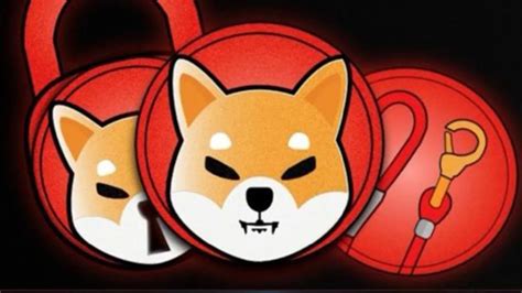 Velatropa La Ecoaldea Espiritual Y Sustentable Escondida En La Ciudad