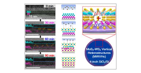 Single Temperature Scale