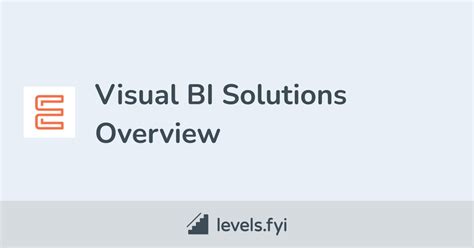 visual bi solutions careers levels fyi