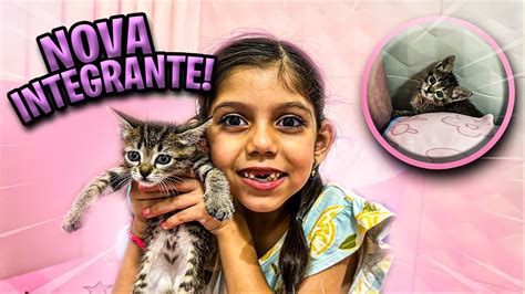 Adotamos Uma Gatinha 🐈 Youtube
