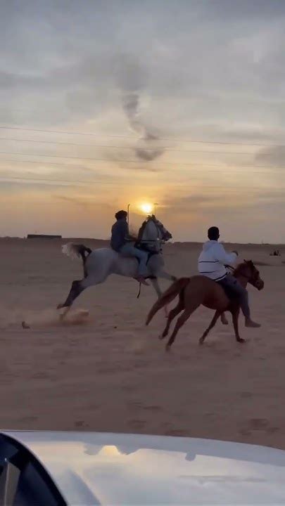 صوغان 🔥🔥🔥 Youtube