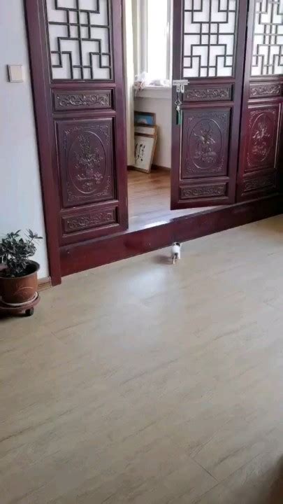 Mohammad Sohail Posted On Linkedin