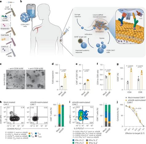 Cd Biosciences On Linkedin Subcutaneous Biodegradable Scaffolds For Restimulating The Antitumour