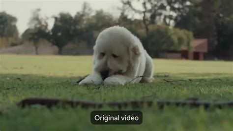 Ai Showcase On Linkedin Meta Moviegen Videoediting Vfx Aiediting