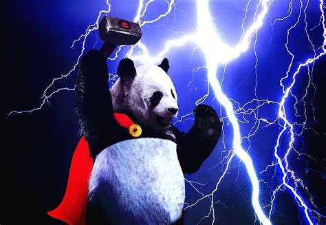 Facts About Pandas