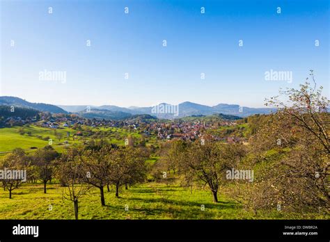 Germany Baden Wuerttemberg Black Forest Northern Black Forest View To