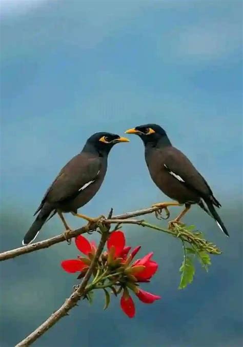 প্রশংসিত আমার মতে বিবাহিত মেয়েদের সুখে থাকার দুইটি গোপন সূত্র হলো হয় কঠিনভাবে জামাইকে বশে