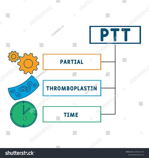 Ptt Partial Thromboplastin Time Acronym Medical Stock Vector Royalty