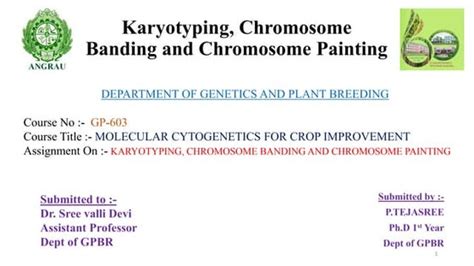 Chromosome Banding Pattern Dr Sonia Pdf