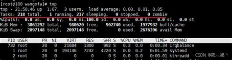 Top命令输出详解 Csdn博客