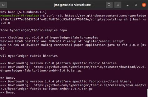 How To Install Hyperledger Fabric In Ubuntu LTS Nucleio Information Services