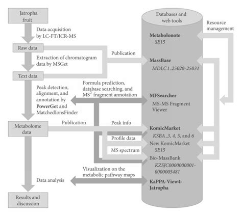 A Schematic Representation Of The Workflow For Analysis Of Metabolomic