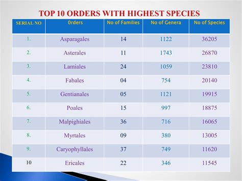 angiosperms phylogeny group iv system of classification pdf