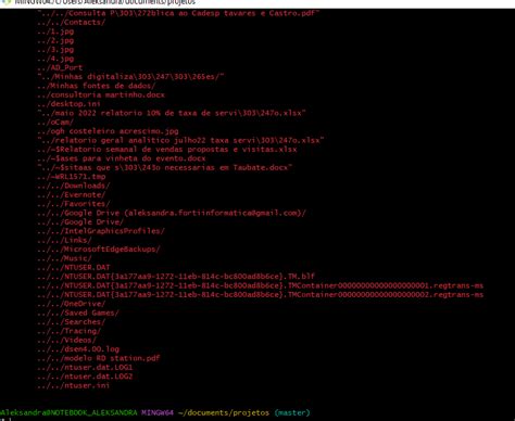 [dúvida] git status está bem diferente e quando tento dar o comando git