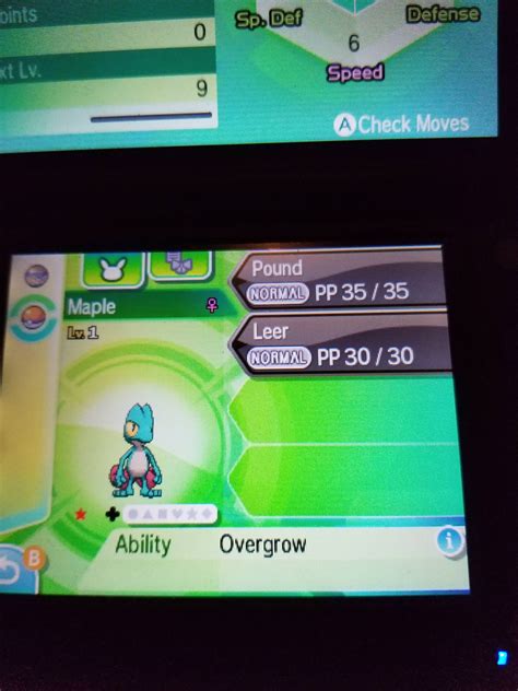 Shiny Treecko Album On Imgur