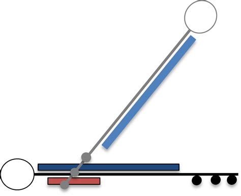 Solved The Model Of Direction Selectivity That We Looked At