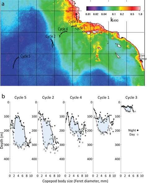 Variations In Diffuse Attenuation Coefficient K490 Across The