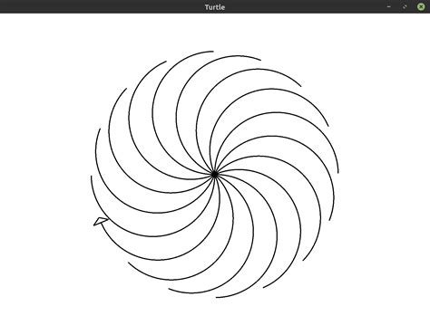 Example Circle Turtle