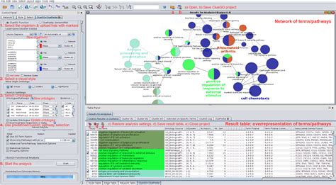 Cytoscape App Store Cluego