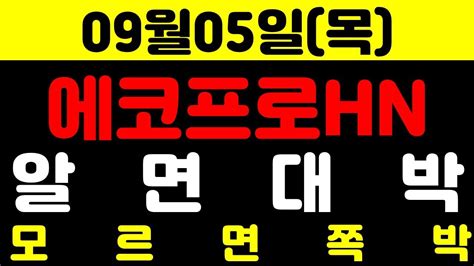 에코프로에이치엔 보셨어요 이거 모르시면 안됩니다 Youtube