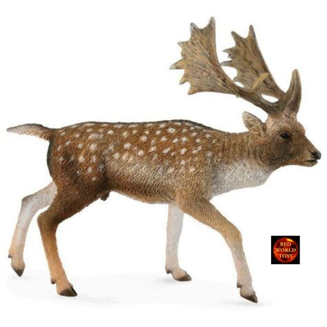 Fallow Deer Male British Wildlife Toy Model Figure By Collecta 88685
