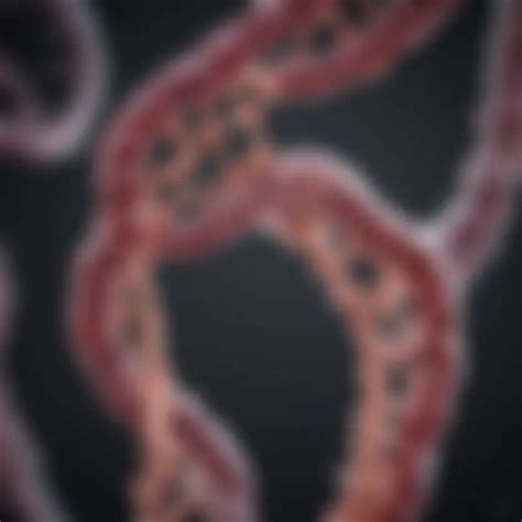 Brca Mutations And Their Impact On Pancreatic Cancer