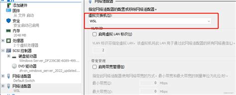 windows 实现wsl2固定ip地址，并实现与hyper v、主机之间实现通信 vethernet wsl csdn博客