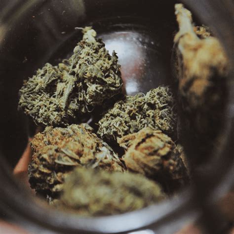 Unlock The Art Of Hash Hole Rolling A Guide For Beginners