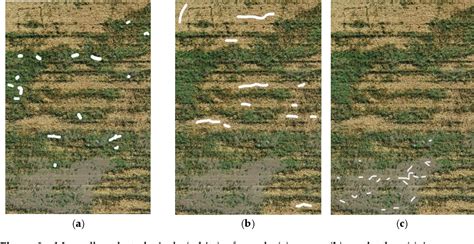 Figure 2 From Transformer In Uav Image Based Weed Mapping Semantic Scholar
