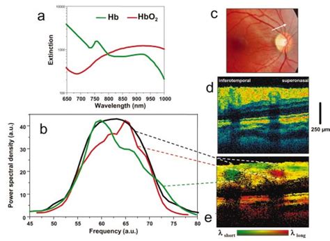Ultrahigh Resolution Optical Coherence Tomography