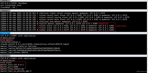 redis 哨兵模式 replica priority csdn博客