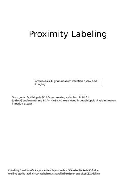 Proximity Labeling Pdf