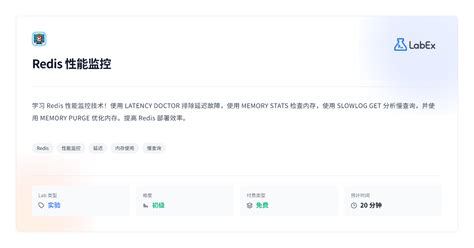 redis 性能监控 延迟、内存与慢查询优化 labex