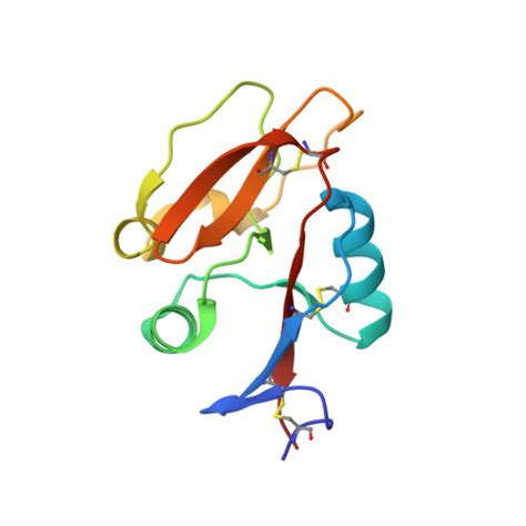 Rcsb Pdb 8jah Crystal Structure Of Human Clec12a C Type Lectin Domain