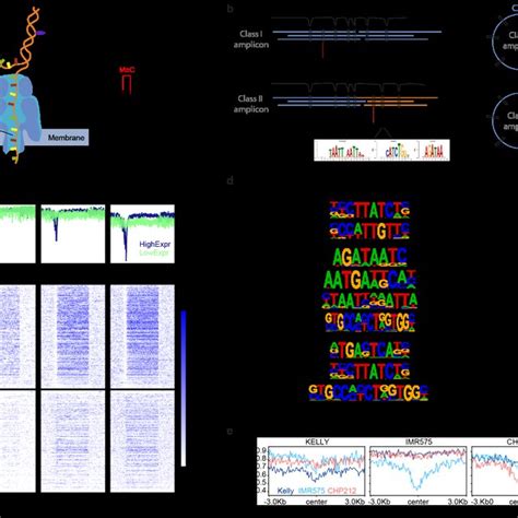 nanopore long read sequencing allows for the simultaneous download
