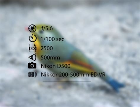 How To Insert Exif Date Time Data On Photo Using P Adobe Support