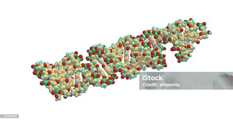 Deoxyribonucleic Acid Dna Molecular Structure Isolated On White Stock
