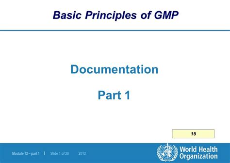 Who Gmp Guidelines Documentation