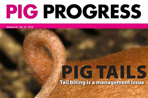 Curly tails, happy pigs and gut health in Pig Progress 10 - Pig Progress