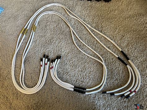 Marigo Audio Labs Analog Extreme Ft Bi Wire Terminated Speaker Cables Price Reduced