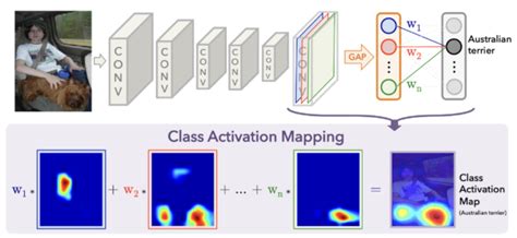 Grad CAM For Explaining Computer Vision Models A Data Odyssey