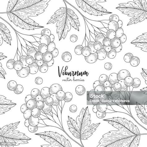 딸기 손 벡터 일러스트 레이 션 프레임입니다 가 막 살 나무속으로 자세한 프레임입니다 건강과 아름다움 자연 제품의 패키지 디자인 개념에 대한 스톡 벡터 아트 및 기타 이미지