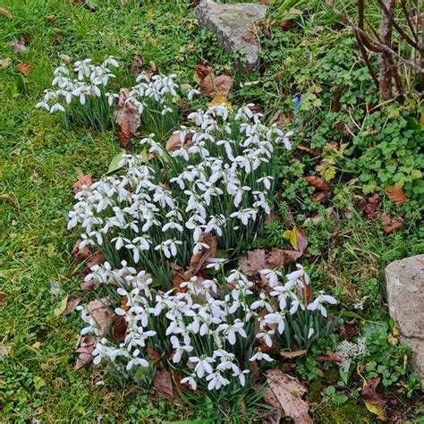 Patsy Mcgarry On Linkedin Spring Has Sprung