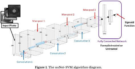 Figure 1 From Using A Sssnet Convolutional Neural Network Cnn With