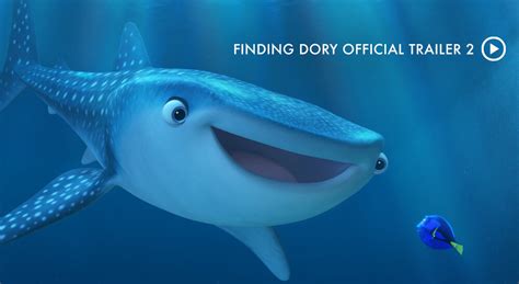 What Is The Story Behind Finding Dory At Nicholas Heaton Blog
