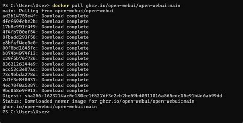 How to Run DeepSeek Locally with Ollama and Open WebUI in a Docker Container - Rijwan & Satya's Blog