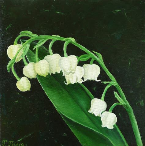 Lily Of The Valley Painting At Paintingvalley Com Explore Collection Of Lily Of The Valley